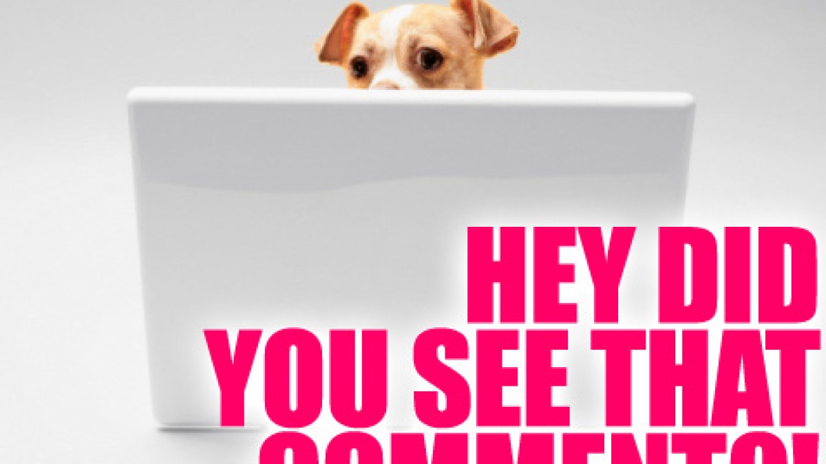 Boo! It’s Hey Did You See That Comment Friday! | Autostraddle