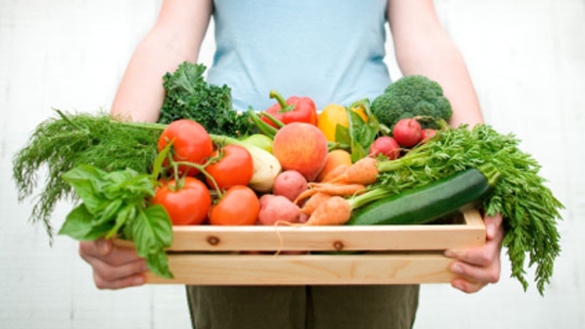 Gay Farmers Exist, Possibly Grow Your Organic Local Tuscan Kale ...