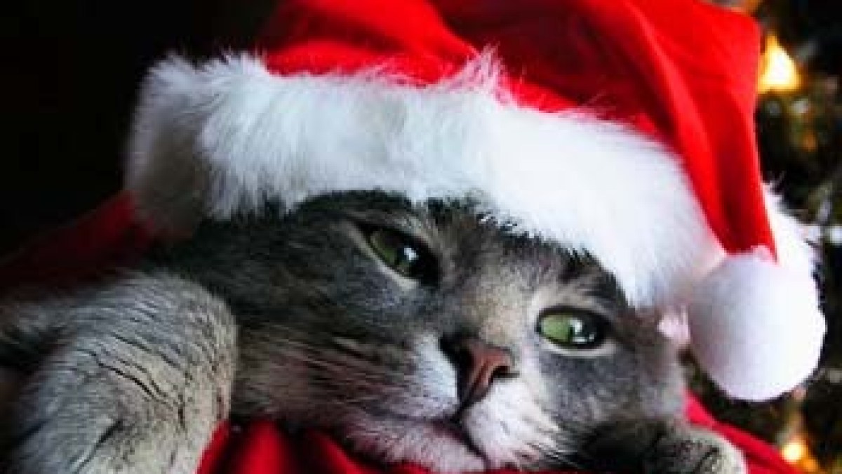 Holigay Gift Guide: Secret Santa 101, The Art of Anonymous Gifting ...