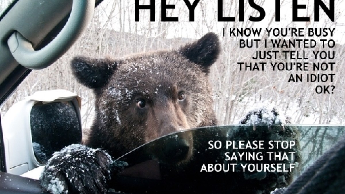 Viral Bear | Autostraddle