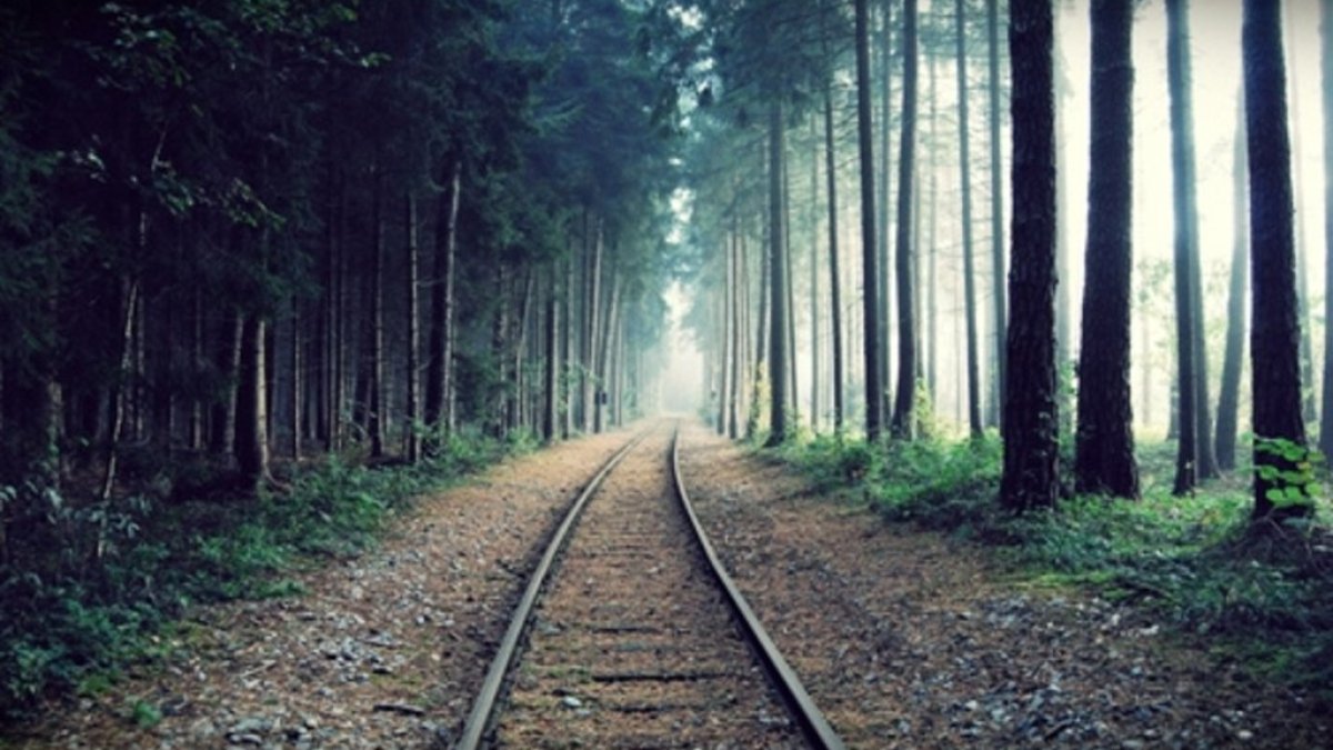 Playlist: Go Your Own Way | Autostraddle