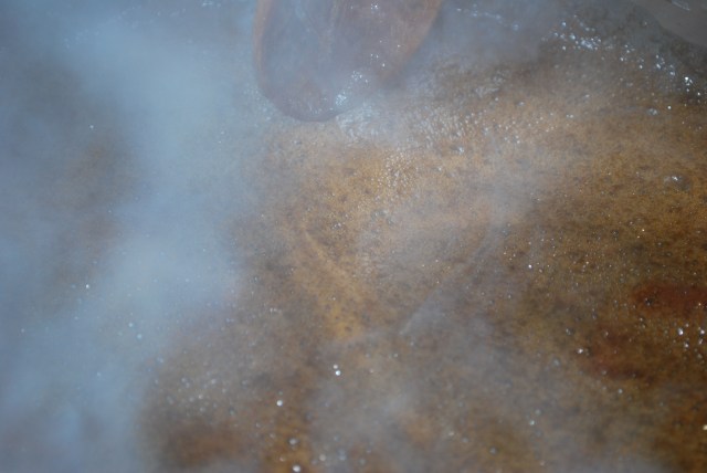 You Brew You: Let's Make the Wort | Autostraddle