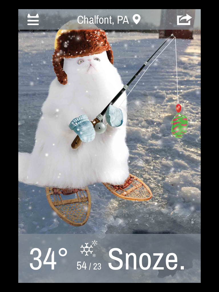 Weather Whiskers, A Weather App We Probably All Need | Autostraddle