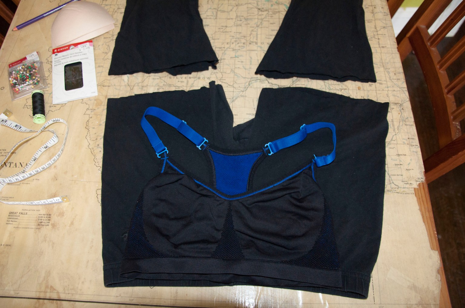 Make a Thing: Sports Bra and Wireless Lace Bra | Autostraddle
