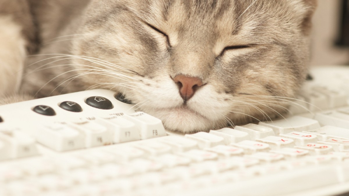 Top 5 Ways To Make Your Desk Job More Exciting | Autostraddle