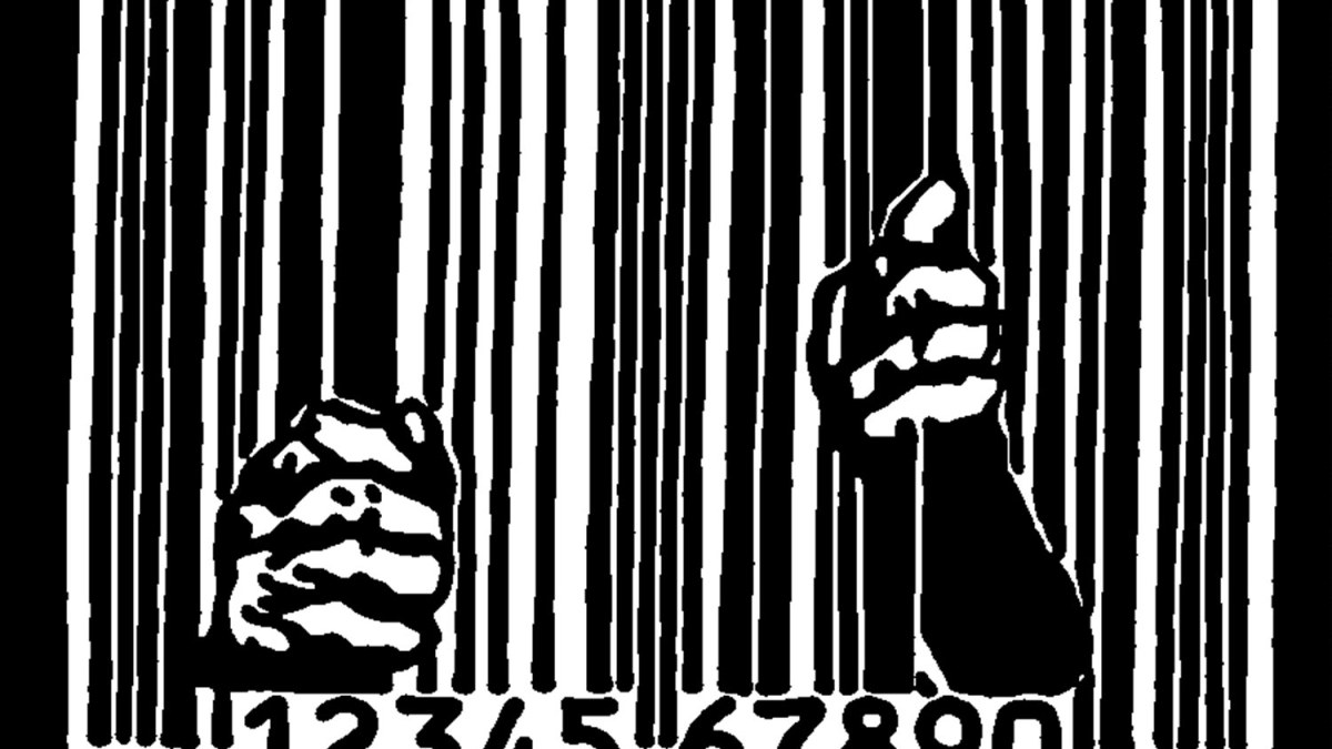 5 Things to Know About Prison Abolition and the Prison Industrial ...