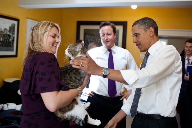 Excuse Me But These Cats Have Serious Business To Attend To | Autostraddle