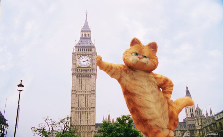100 Things That Are Orange, Ranked | Autostraddle