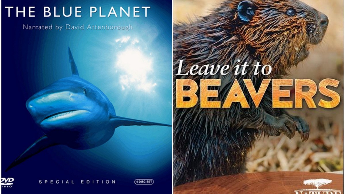 Sunday Top Ten: Spectacular Nature Documentaries For Watching While ...