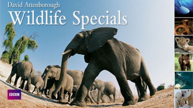 Sunday Top Ten: Spectacular Nature Documentaries For Watching While ...
