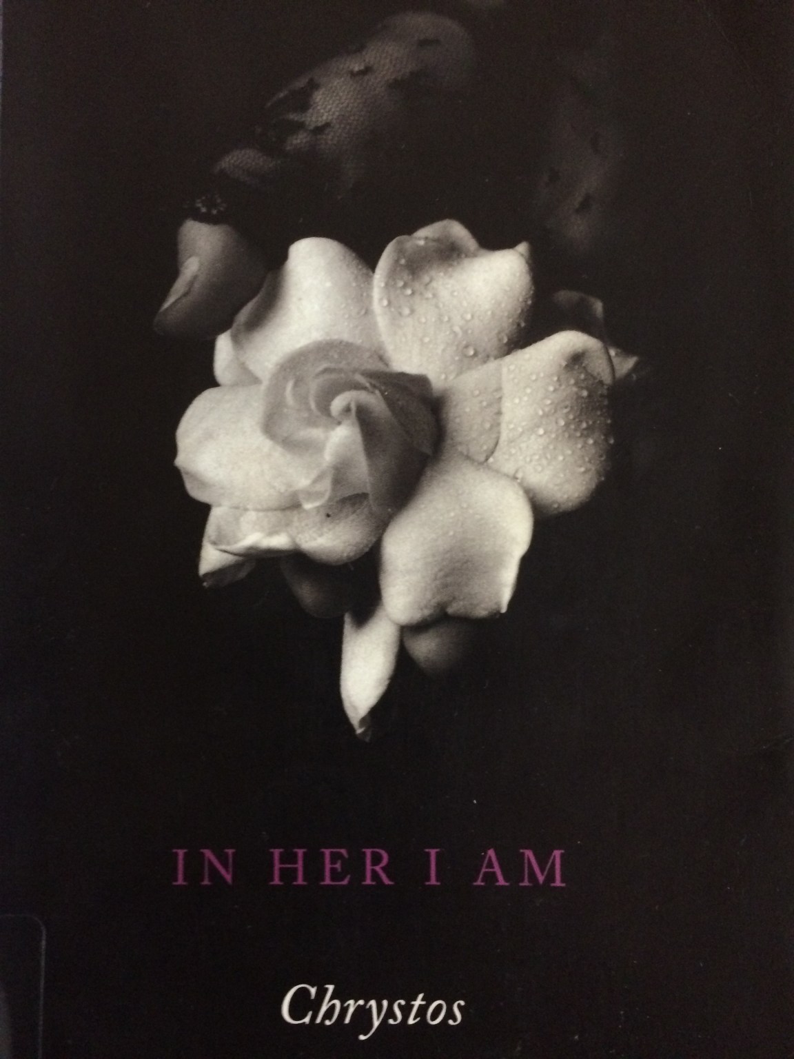 Hidden Gems of Queer Lit: Chrystos and 'In Her I Am' | Autostraddle
