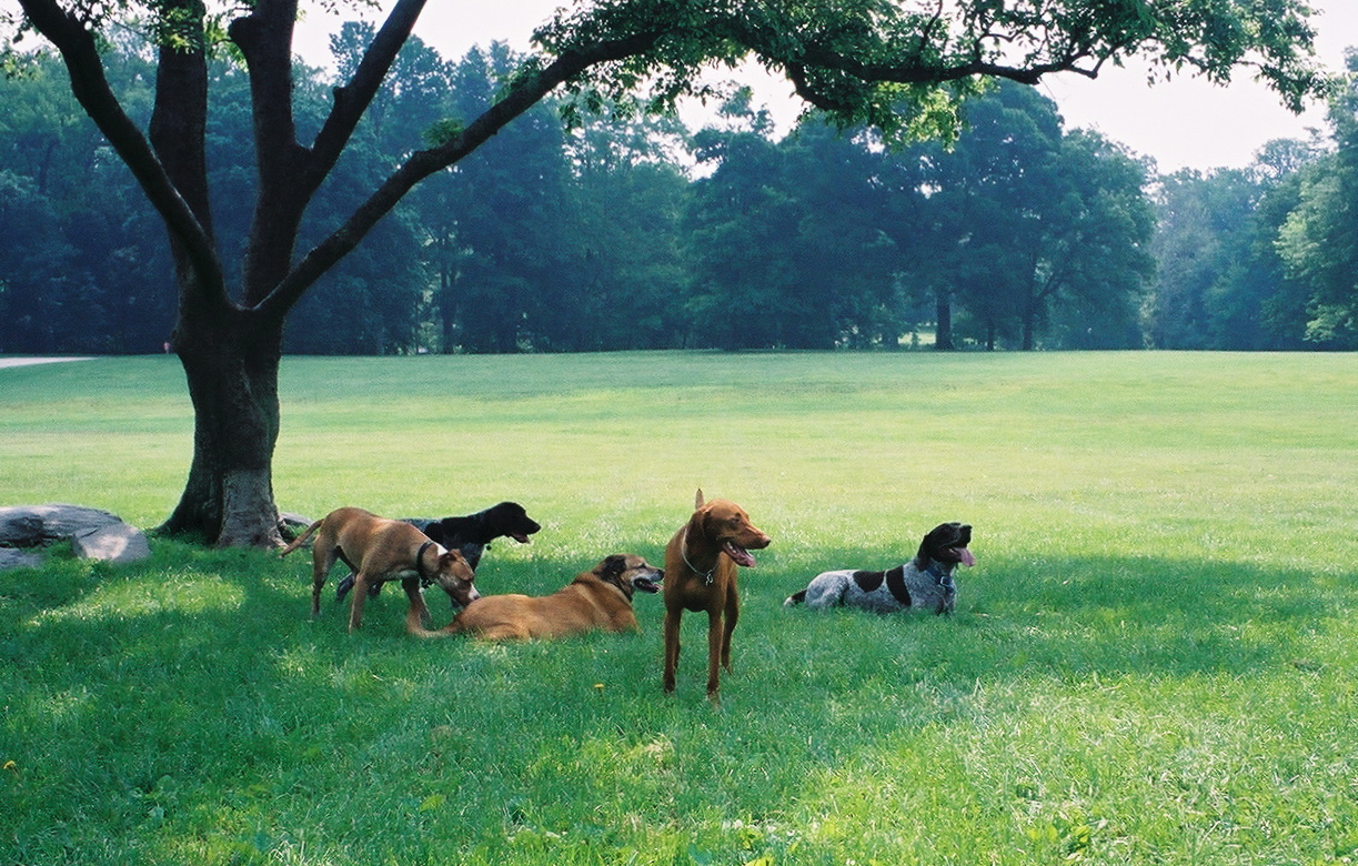 10 Summer Meet-Up Ideas for Queers Who Like Friends, Fun, Potentially ...