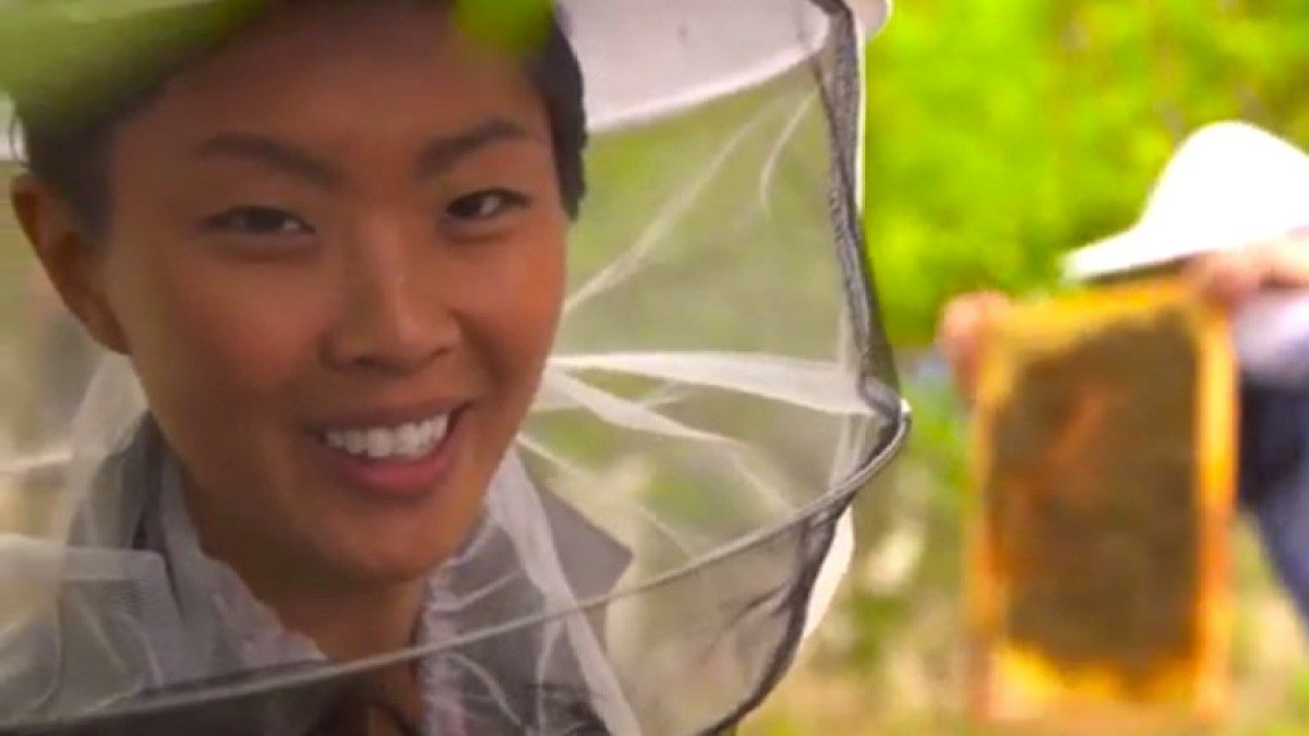 Watch Kristen Kish Jet-Set Around the World in "36 Hours"