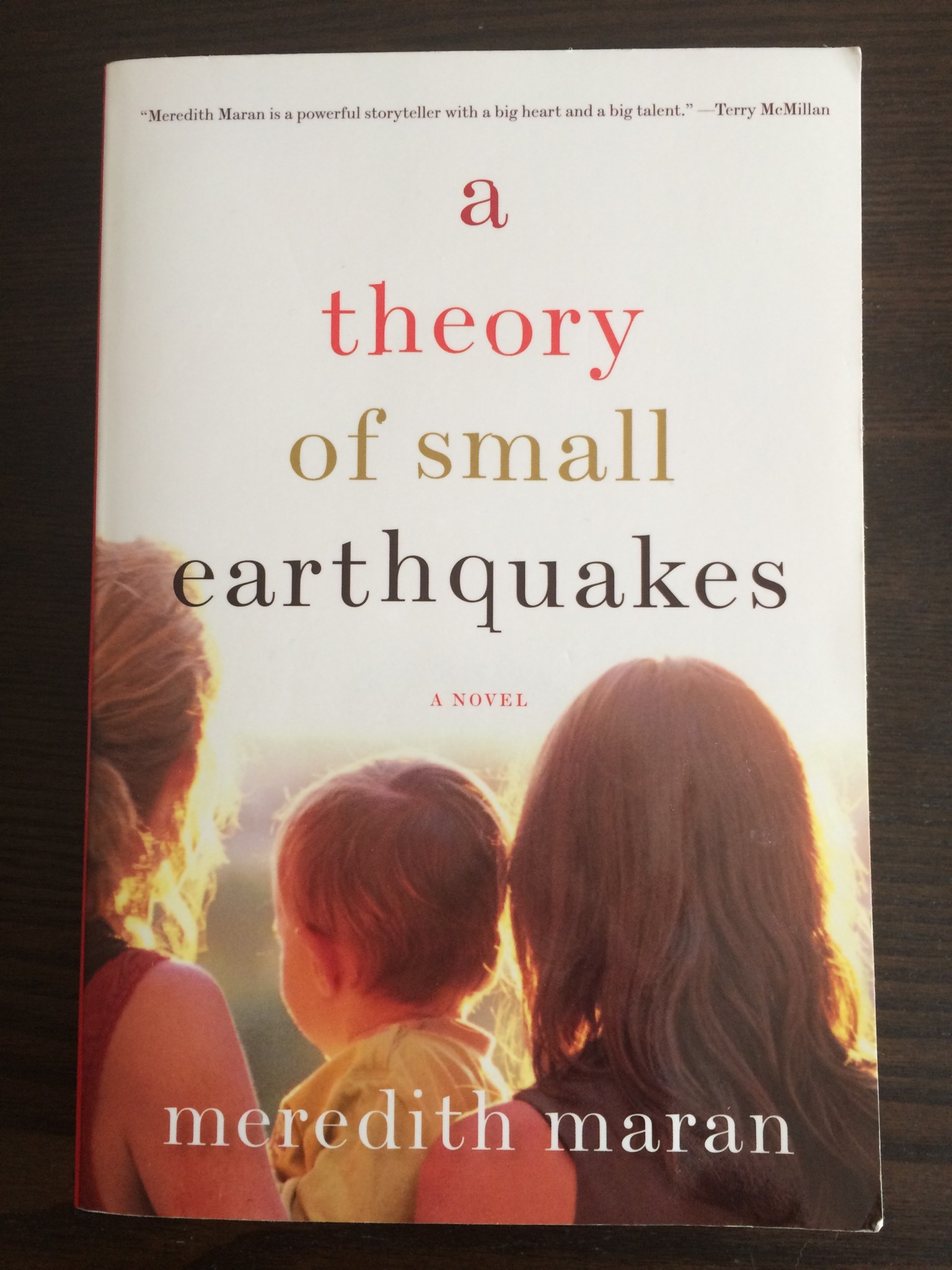 Hidden Gems of Queer Lit: Meredith Maran's "A Theory of Small ...