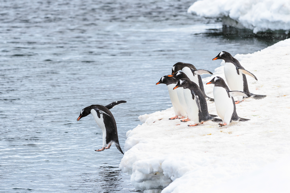 The Top 11 All-Natural Things That Help Me Calm The F*ck Down ...