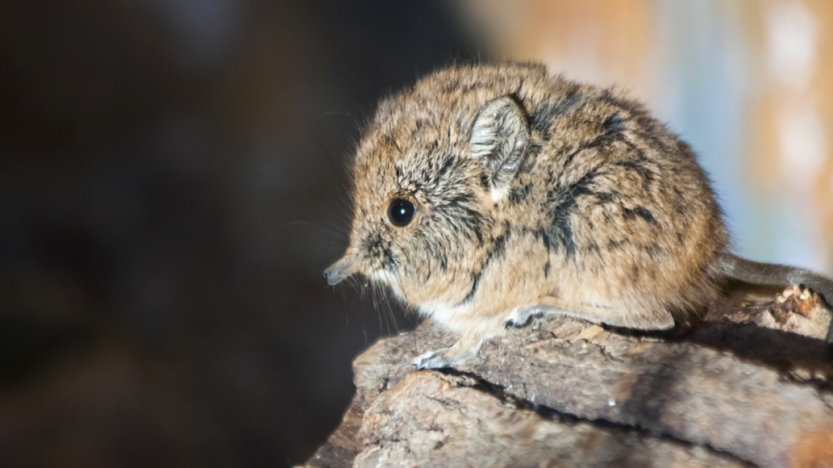 Helping You Help Yourself #28 | Autostraddle