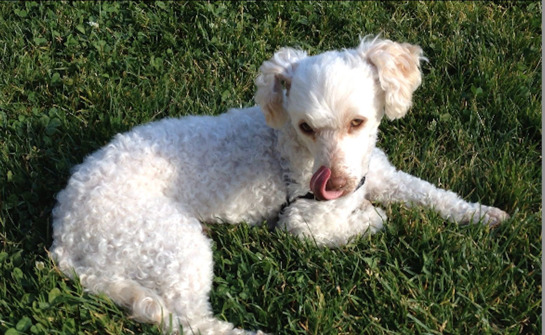 Two Weeks | Autostraddle