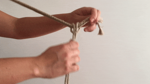 Shibari 101: Basic Chest Harness | Autostraddle