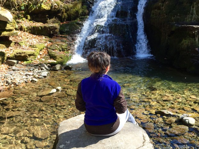 Poly Pocket News | Autostraddle