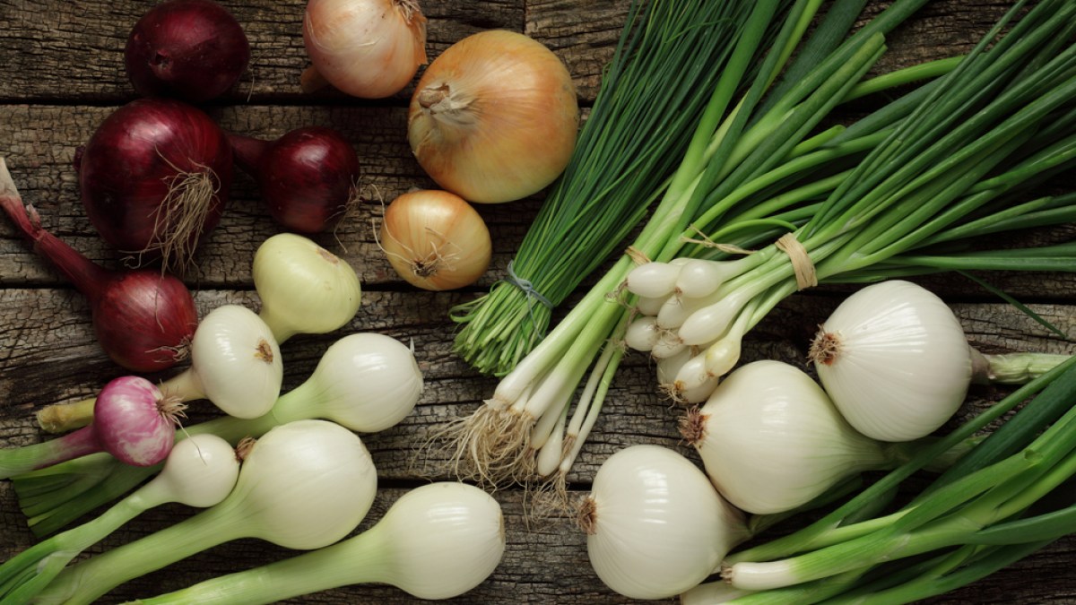 40 Recipes Celebrating Onion Diversity | Autostraddle