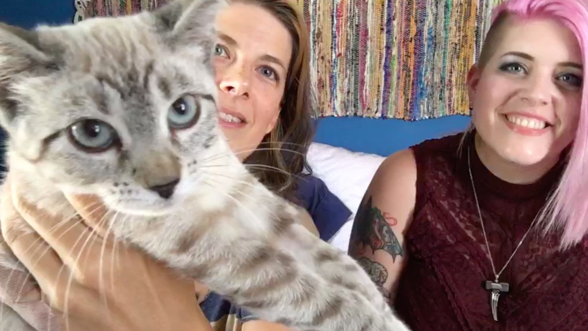 VIDEO! Getting In Bed with Kate Leth: Bisexuality II | Autostraddle