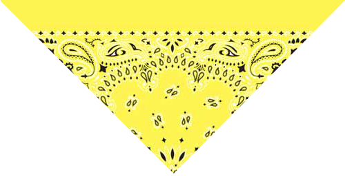 Queer Flagging 101: How to Use the Hanky Code to Signal the Sex You ...