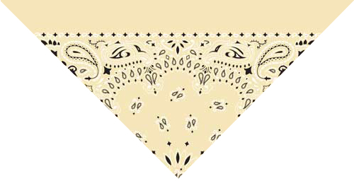 Queer Flagging 101: How to Use the Hanky Code to Signal the Sex You ...