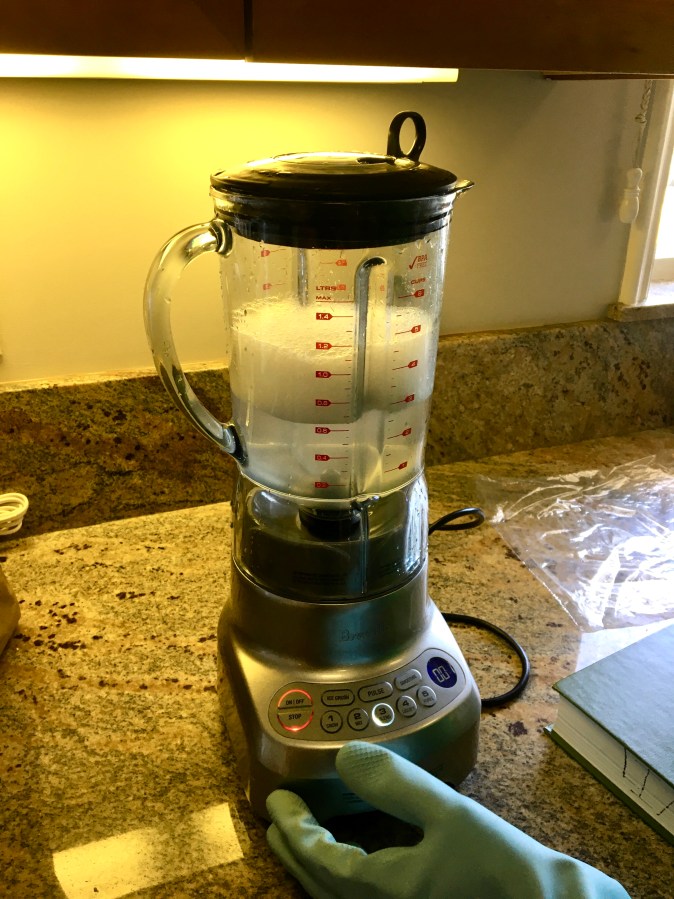 The Dyke Kitchen: My Dad's South Indian Gunpowder | Autostraddle