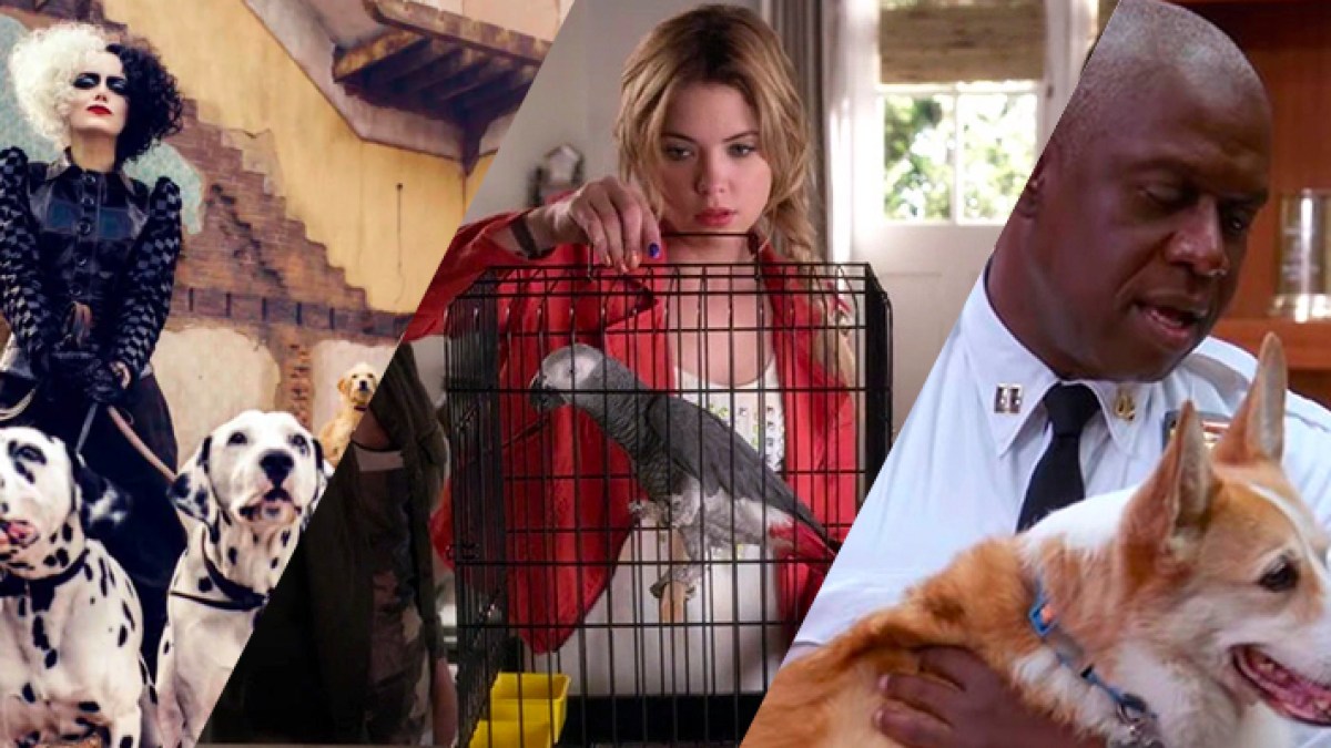 The 10 Best Fictional Pets Who Started Some Shit | Autostraddle