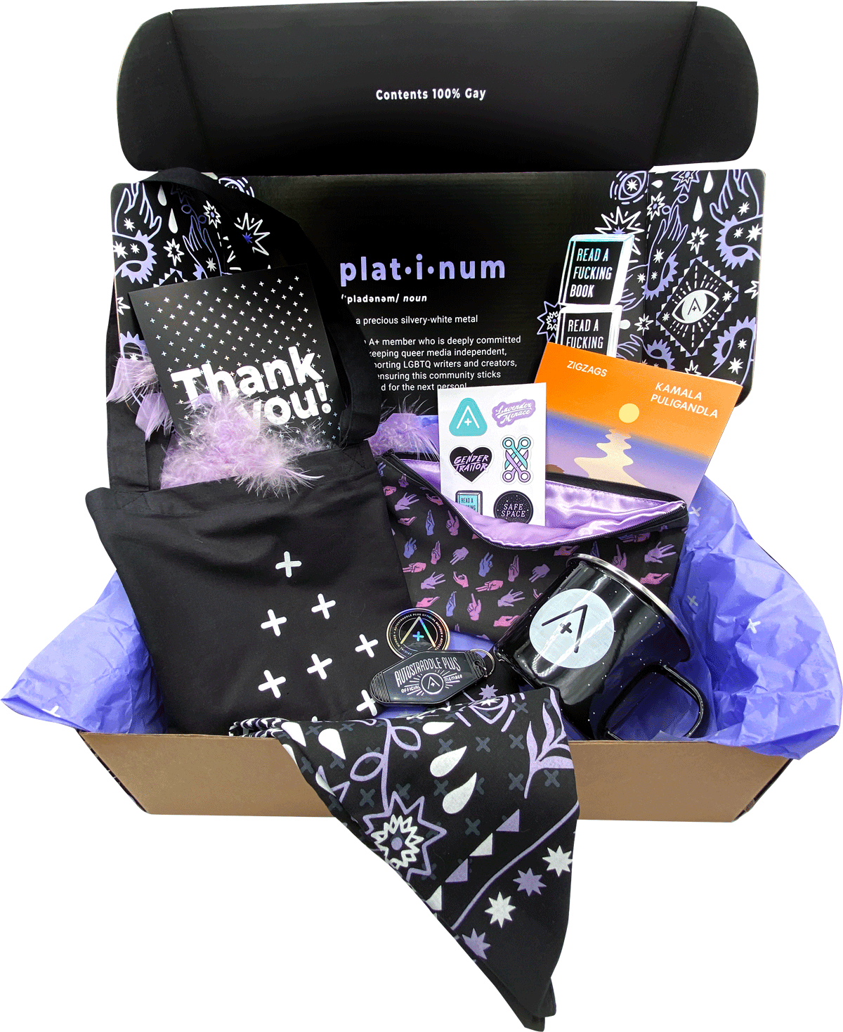 A+ Platinum Has a New Lineup of Queer Books | Autostraddle