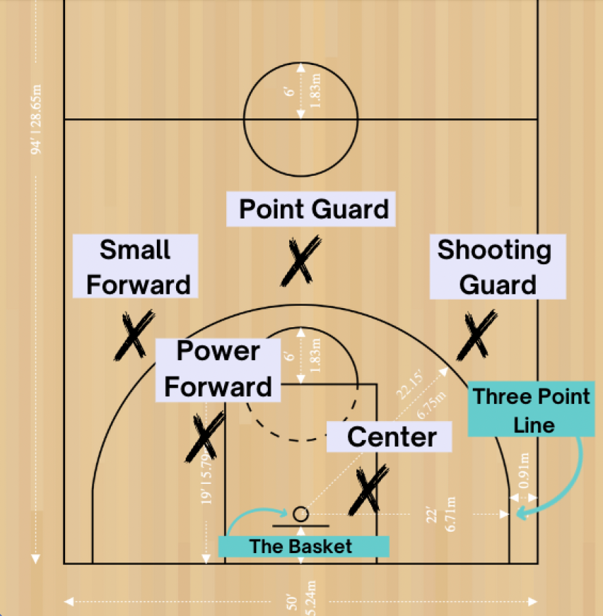 WNBA 101: Everything You Need to Know | Autostraddle