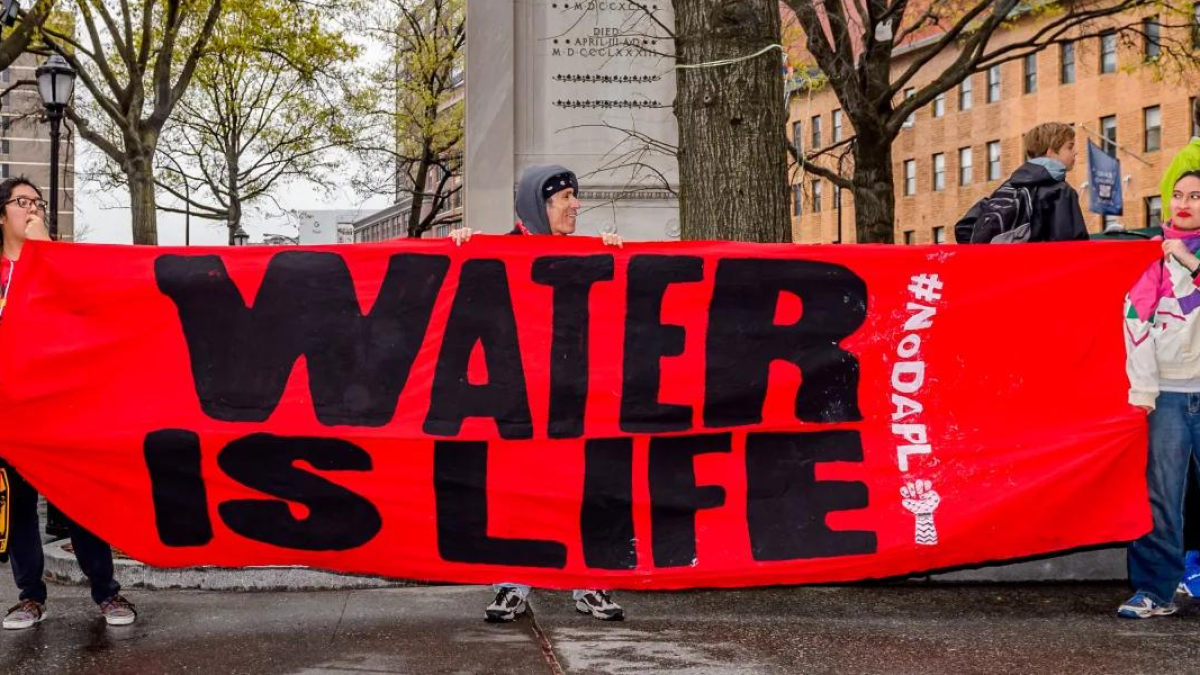 Indigenous Resistance Movements From the 20th and 21st Centuries We Can ...